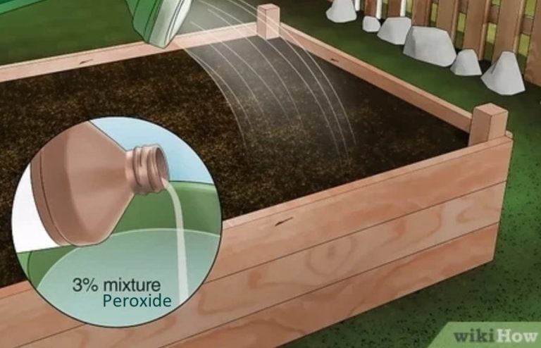 This will flip your flop from Autoflowering Cannabis Seeds to our ...
